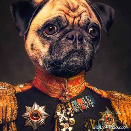 Sportmops Henry - individuelle Portrait Retro Mops in Uniform