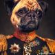 Sportmops Henry - individuelle Portrait Retro Mops in Uniform